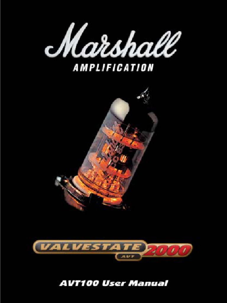 VALVESTTE AVT100 | PDF | Amplifier | Electromagnetic Interference