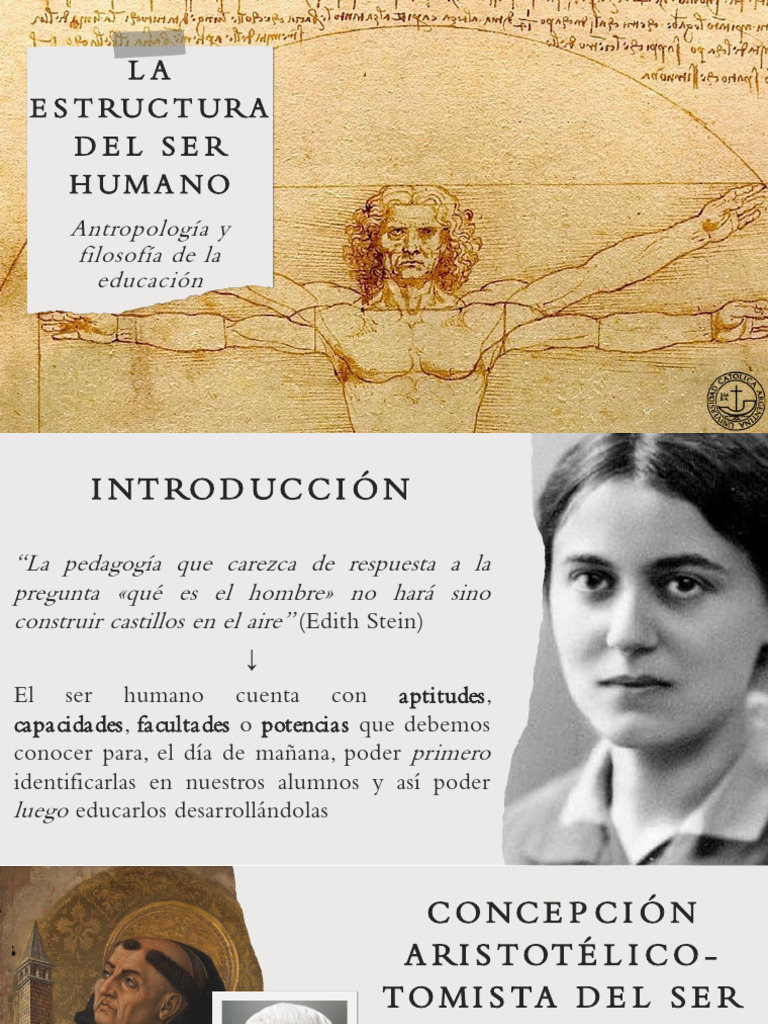 Estructura del Ser Humano | PDF | Alma | Percepción