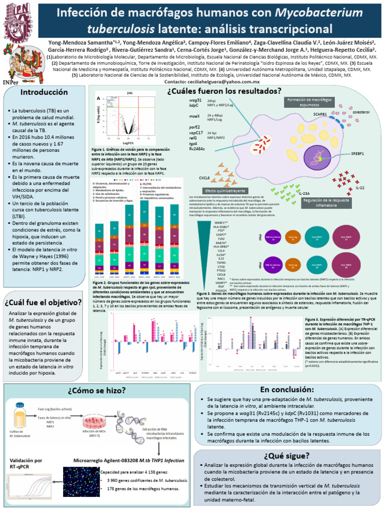 Infección Latente de Macrófagos por TB | PDF | Tuberculosis micobacteriana | Infección