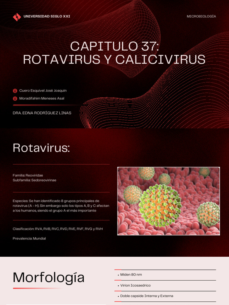 Blank Company Profile Business Presentation in Black Red Abstract Tech Style | Descargar gratis ...