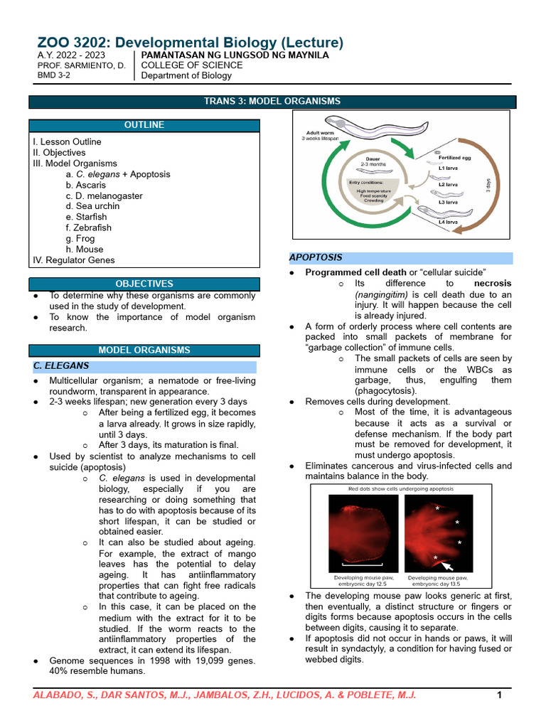 ZOO-3202 - Trans 3 - Model Organisms | PDF | Gene | Model Organism