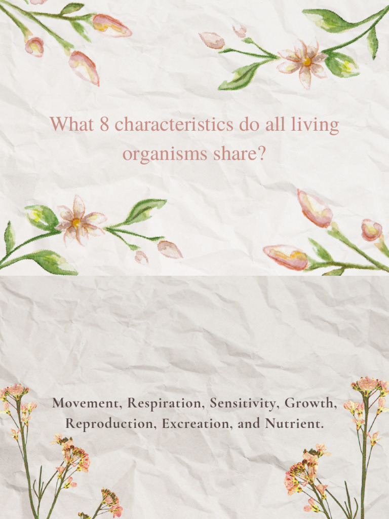 Shellah Despina Ramdani I Flashcard Classification of Living Organism ...
