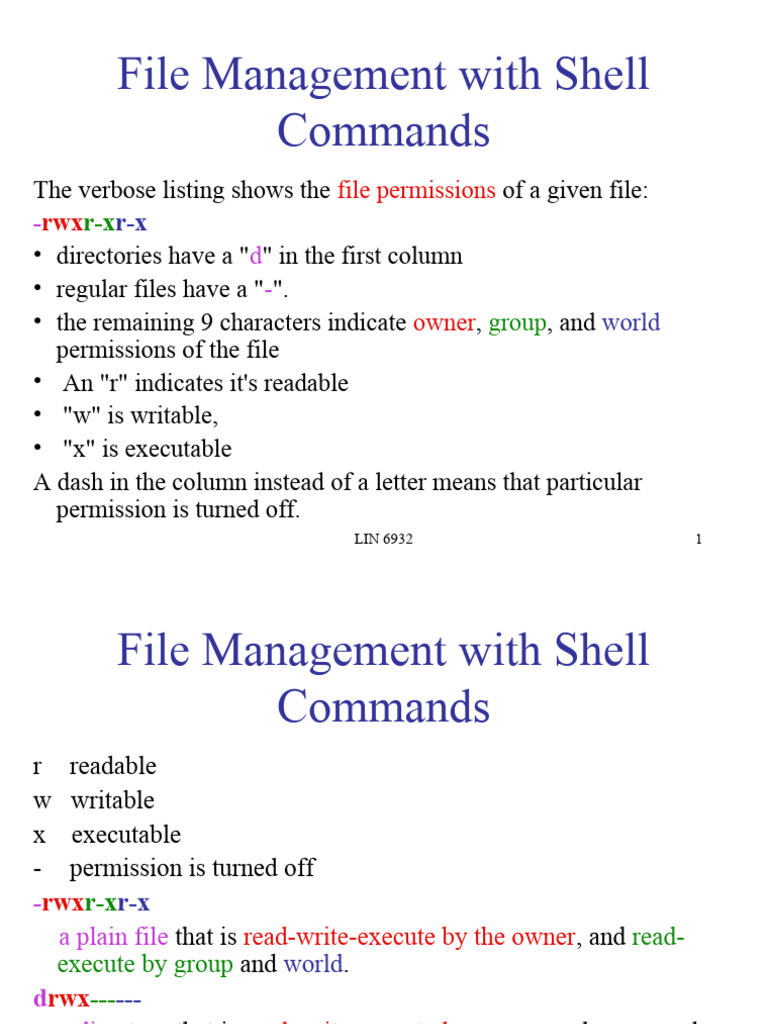 L0_File Permissions and simple Examp | PDF | Shell (Computing) | User (Computing)