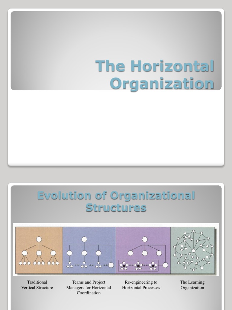 The Horizontal Organization | PDF | Business Process | Business