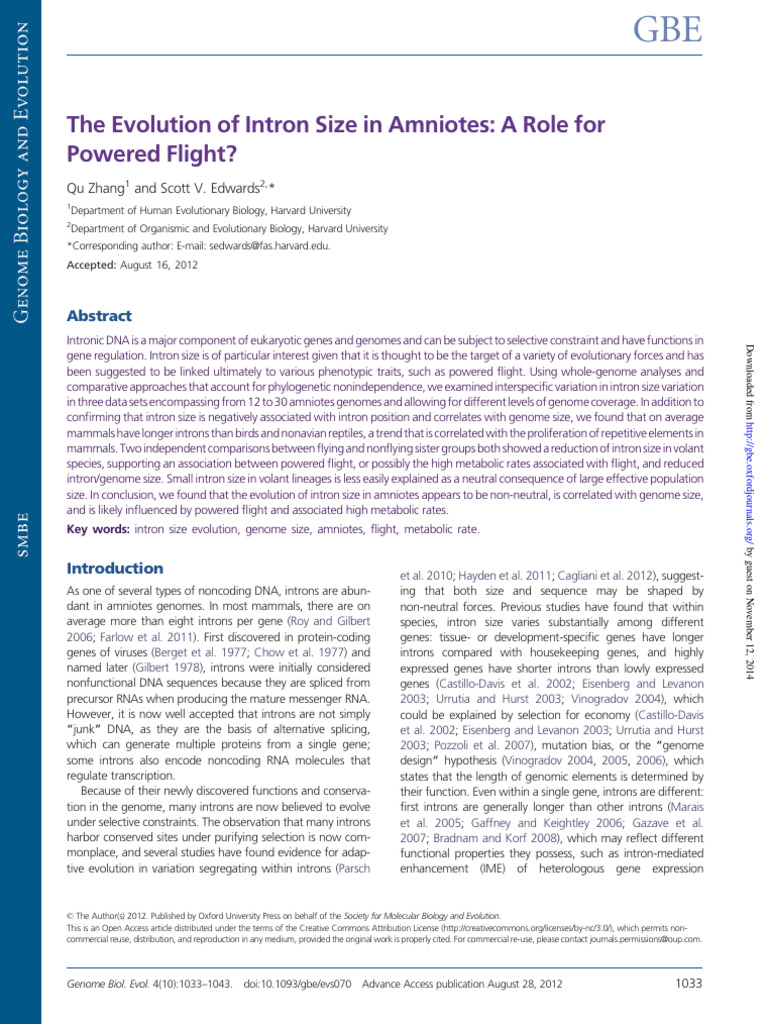Zhang 2012 The Evolution of Intron Size in Amniotes A Role For Powered ...