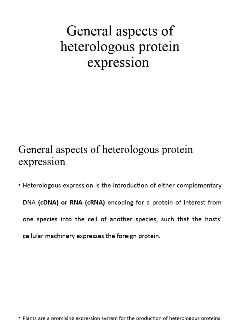 Heterologous Gene Expression | PDF | Gene Expression | Gene