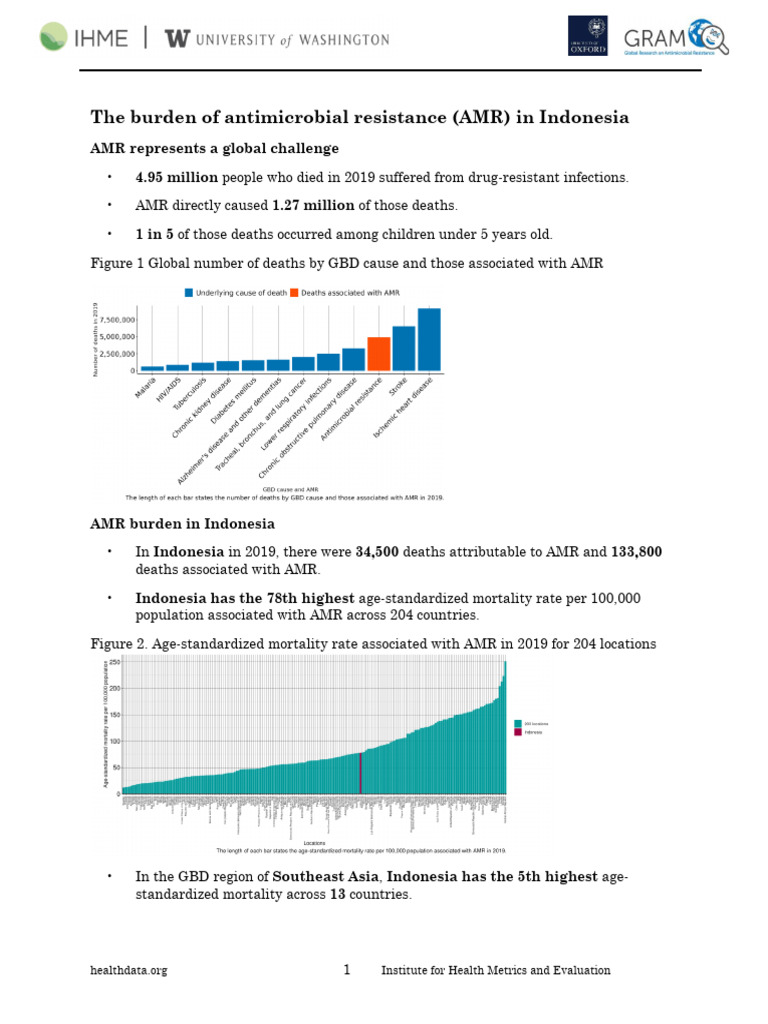The Burden of Antimicrobial Resistance (AMR) in Indonesia | PDF ...