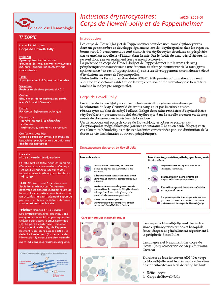 Corps de Howell-Jolly en hématologie | PDF | Globule rouge | Anémie