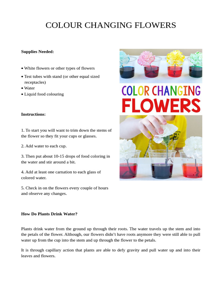 Colour Changing Flowers | PDF | Biology | Plants