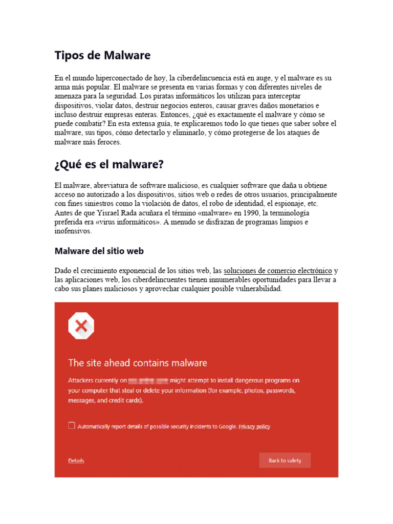 Tipos de Malware | PDF | Secuestro de datos | Malware