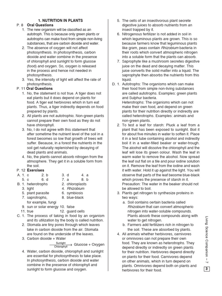 Answerkey 2 | PDF | Digestion | Nutrition
