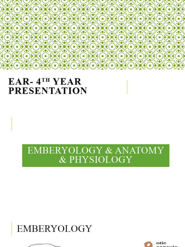 EAR-4 Year Presentation | PDF | Ear | Otorhinolaryngology
