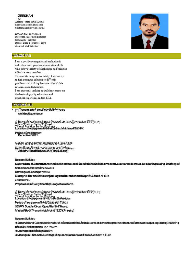 Zeeshan Resume | PDF | Power (Physics) | Engineering