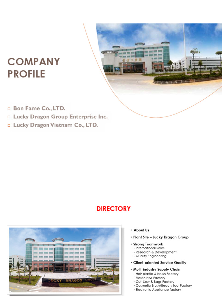 2023 Company Profile VN | PDF