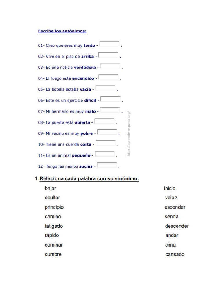 Sinónimos y antónimos actividad | PDF