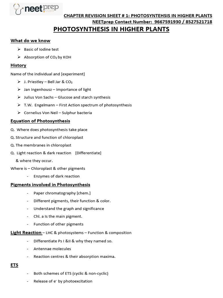 #1 Chapter Revision Sheet Photosynthesis | PDF | Photosynthesis ...