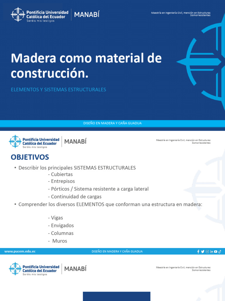 C3 - Sistemas y Elementos Estructurales PUCEM | PDF | Braguero ...