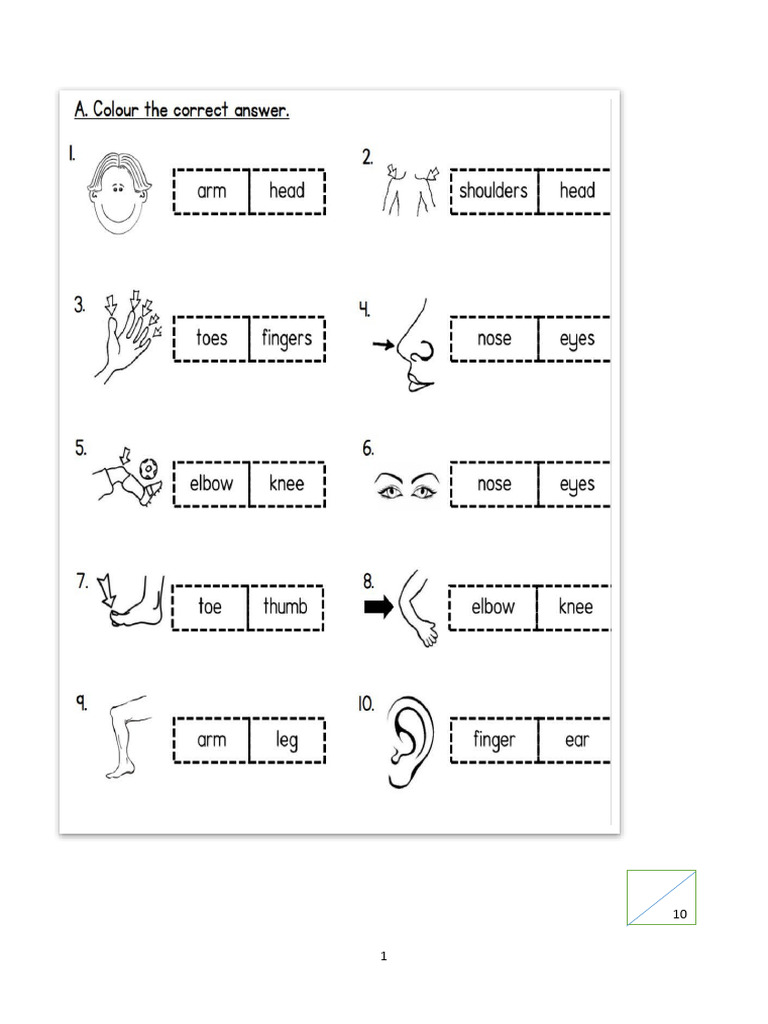 Year 2 English Exam Practice Paper | PDF