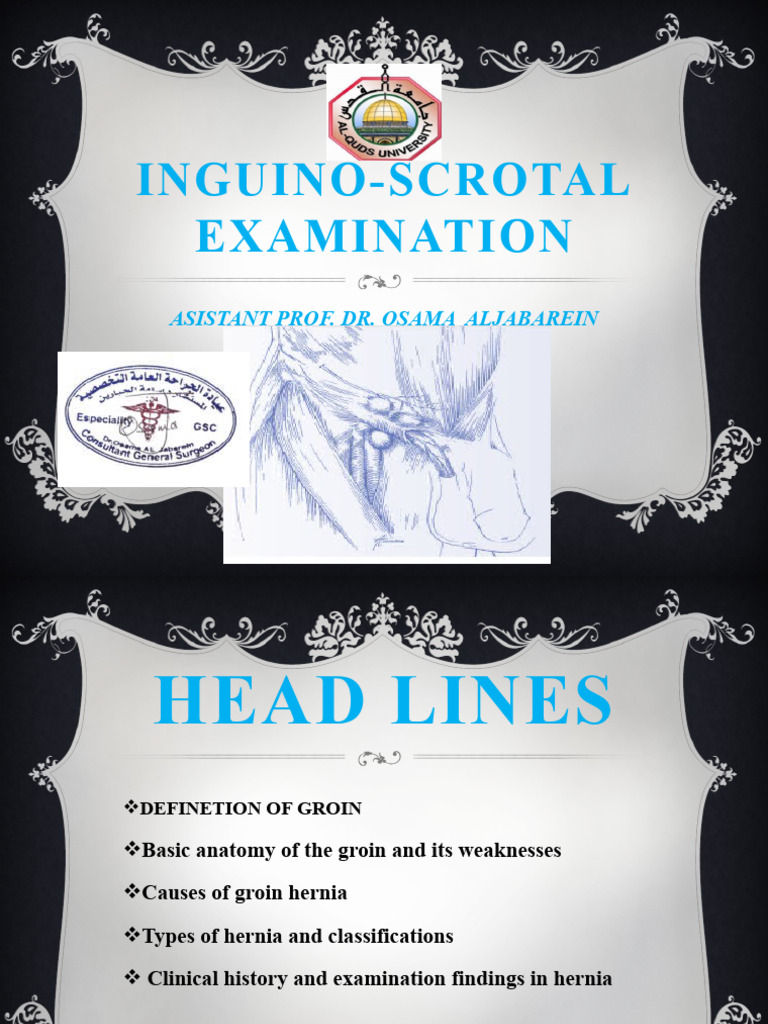 Inguino Scrotal Examination | PDF | Anatomy