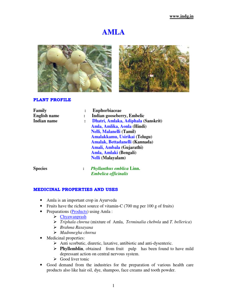 Amla | PDF | Mulch | Trees