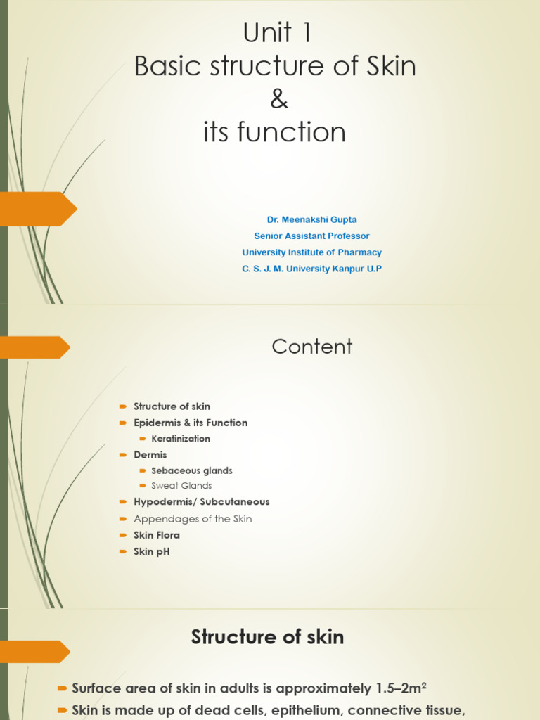 Structure of Skin | PDF | Skin | Epidermis