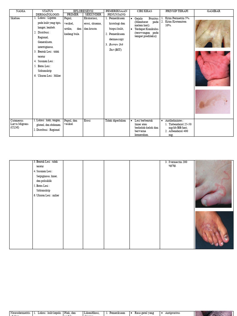 Infeksi Parasit Dan Dermatitis-Hilman | PDF