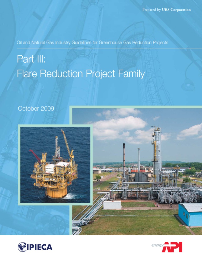 Flare Reduction Project Family: October 2009 | PDF | Natural Gas ...