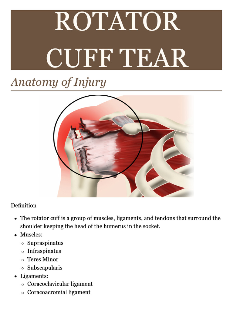 Rotator Cuff Infographic | PDF | Shoulder | Diseases And Disorders