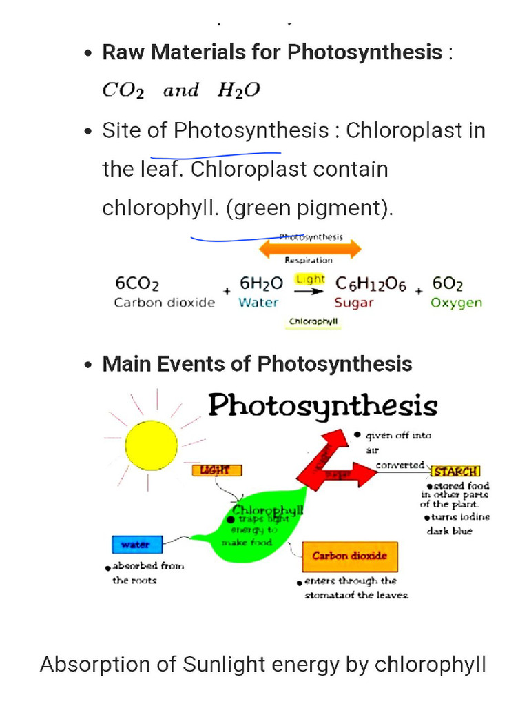 Autotrophic Nutrition | PDF