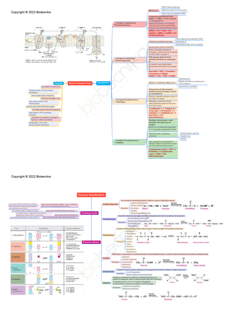 Csir-Mind-Maps-Sample 2 2 2 (1) Unlocked Removed | Download Free PDF ...