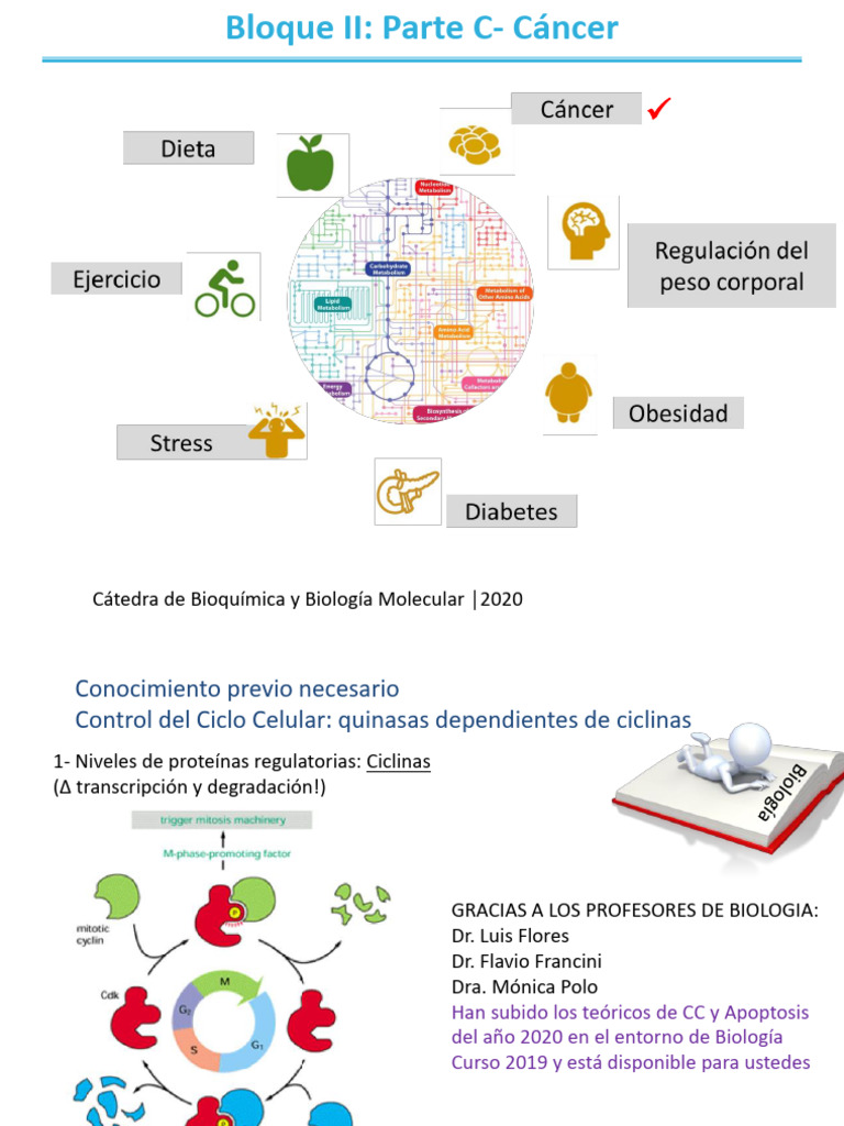 Integración Metabólica Parte Cancer TP11 | PDF | Gen supresor de ...