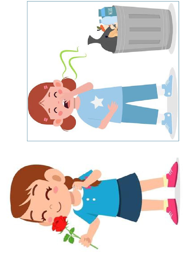 Imagen Del Olfato | PDF