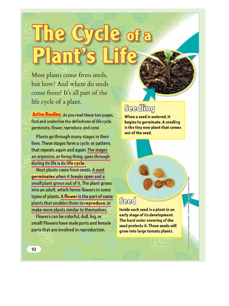 GR 3 Science Fusion Book Pages U3L1 | PDF