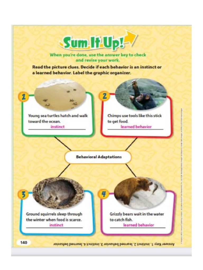 GR 3 Science Fusion U3L6 Homework Pages With Answers | PDF