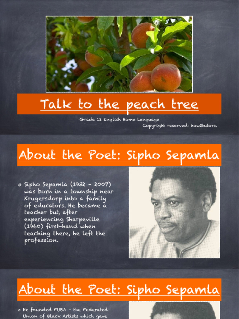 Talk to the Peach Tree | PDF | Poetry Talk to the Peach Tree | PDF | Poetry