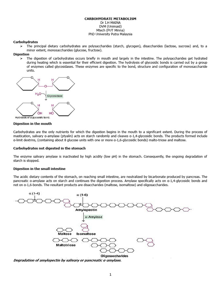 CARBOHYDRATE METABOLISM BUK Note | PDF | Glucose | Carbohydrates