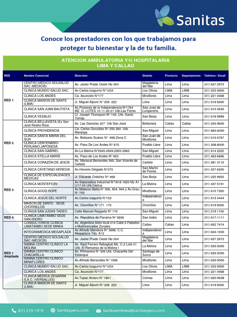 RED Lima | Descargar gratis PDF | Lima