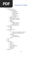 Common Ophthalmic Terminology Glossary | PDF | Eye | Human Eye