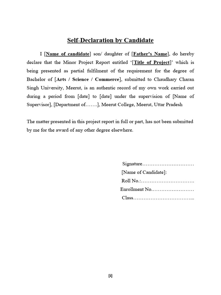Minor Project Self-Declaration | PDF | Art