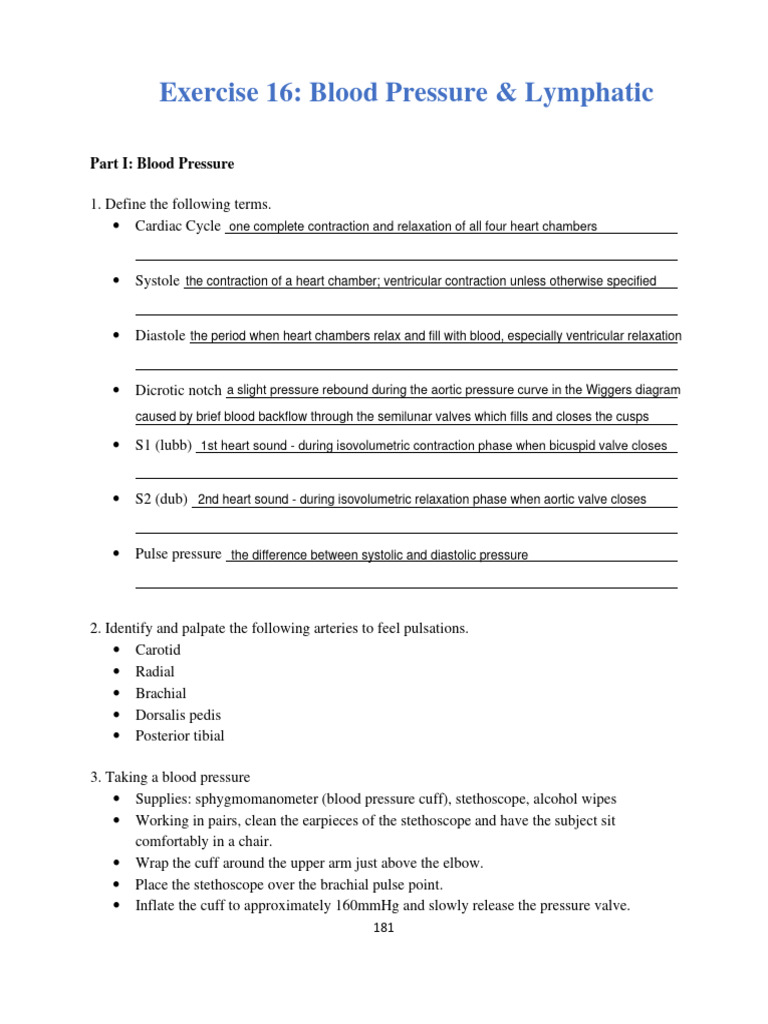 Bi 232 Lab 16 Pdf Diastole Heart Valve