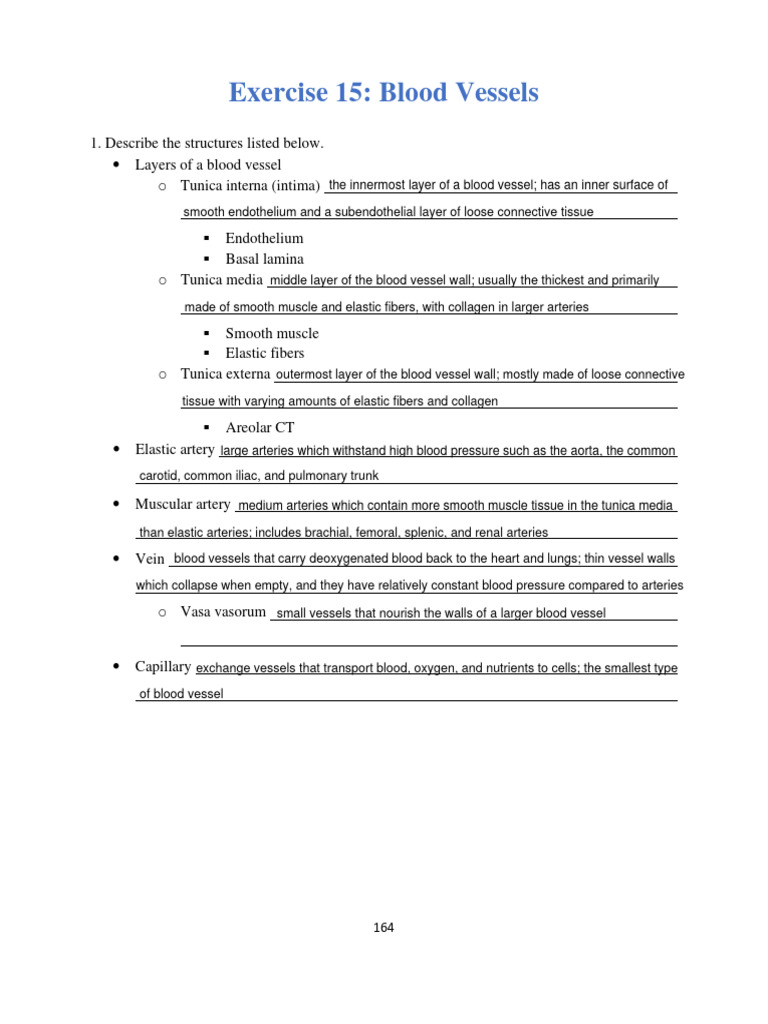 Bi 232 Lab 15 Pdf Aorta Vein