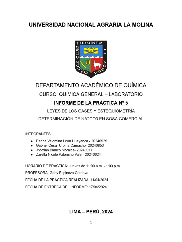 Informe Sosa | PDF | Gases | Ácido clorhídrico