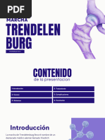 Marcha Trendelenburg: Análisis y Alteraciones | PDF | Pelvis | Sistema ...