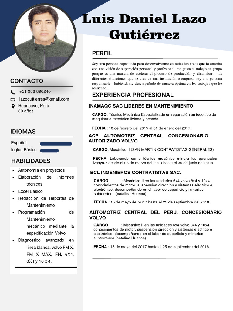 CV Luis daniel | PDF