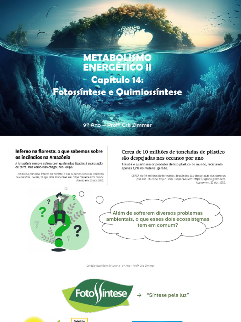 Fotossíntese e Quimiossíntese Explicadas | PDF | Fotossíntese | Química