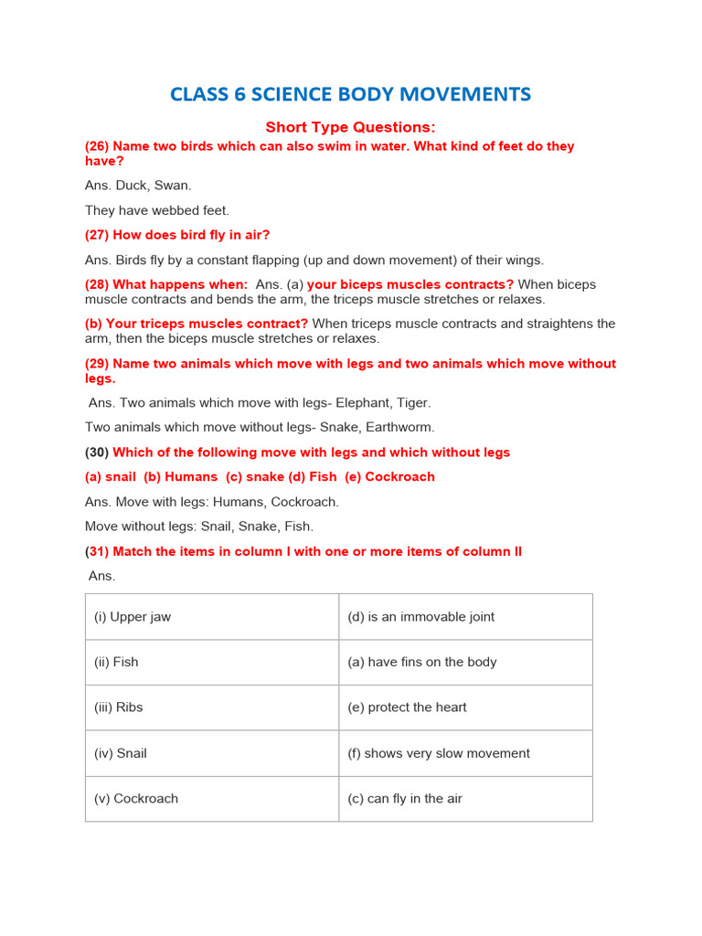 Body Movements Class 6 Science | PDF | Skeleton | Vertebral Column