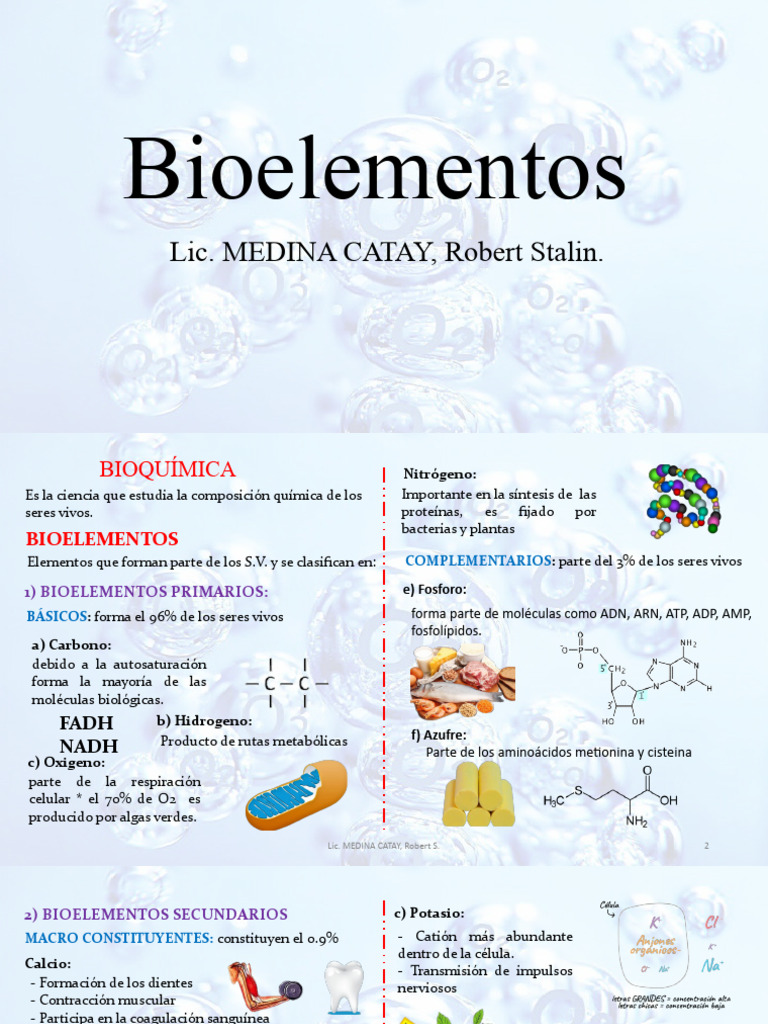 Bioquimica I Bioelementos | PDF | Organismos | Metabolismo