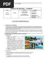 Mapa Conceptual de Ecosistema | PDF | Ecosistema | Ecología