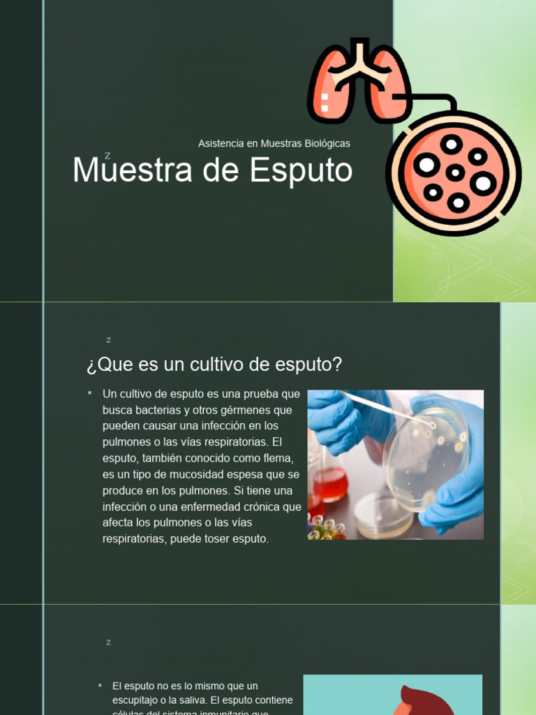 Tipos y Significado del Esputo | PDF | Tos | Enfermedades y trastornos
