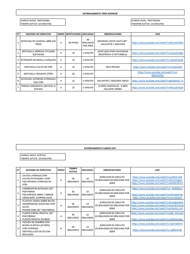 Entrenamiento Lepe | PDF | Anatomía humana | Articulaciones